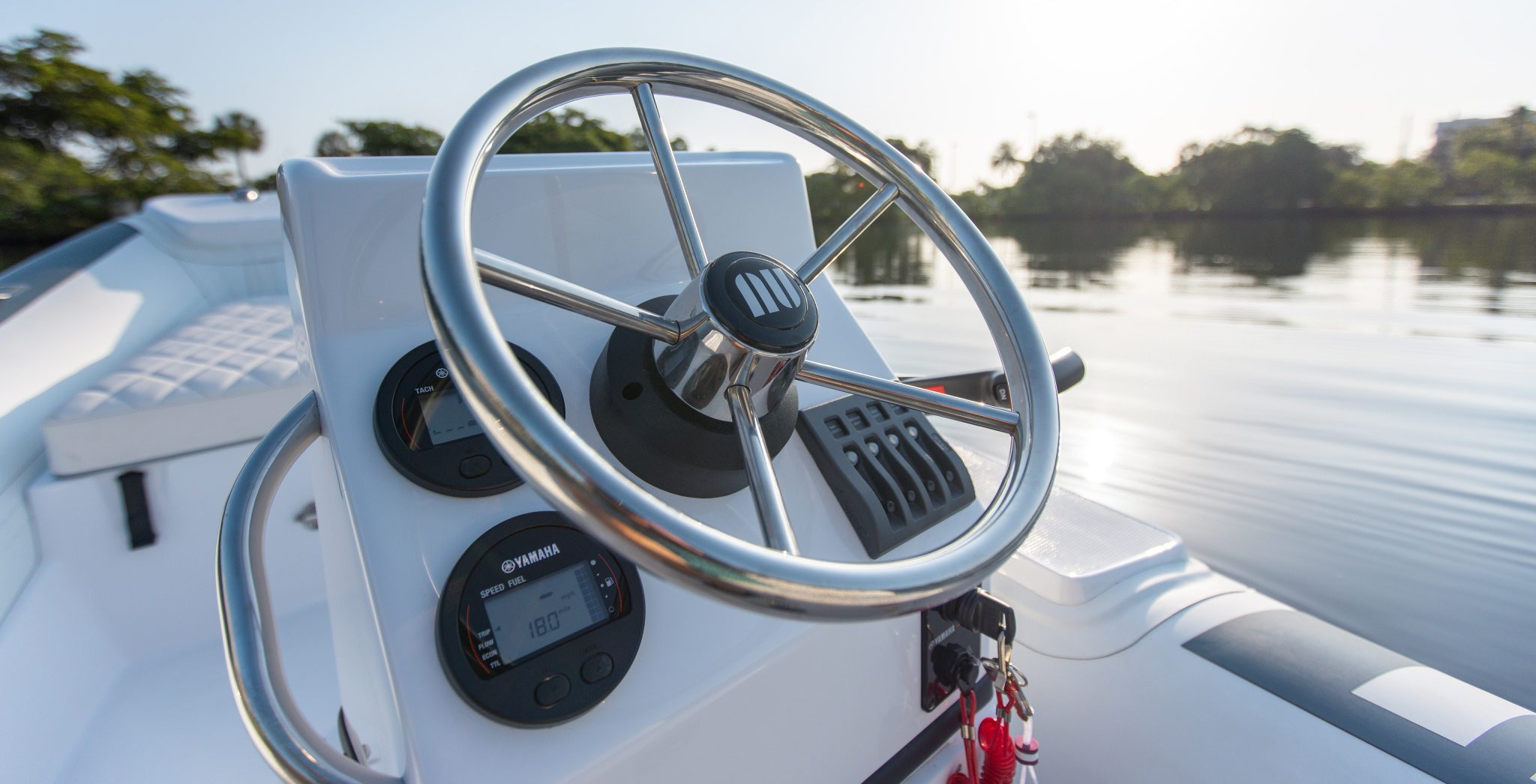 DL 335 - Novurania of America