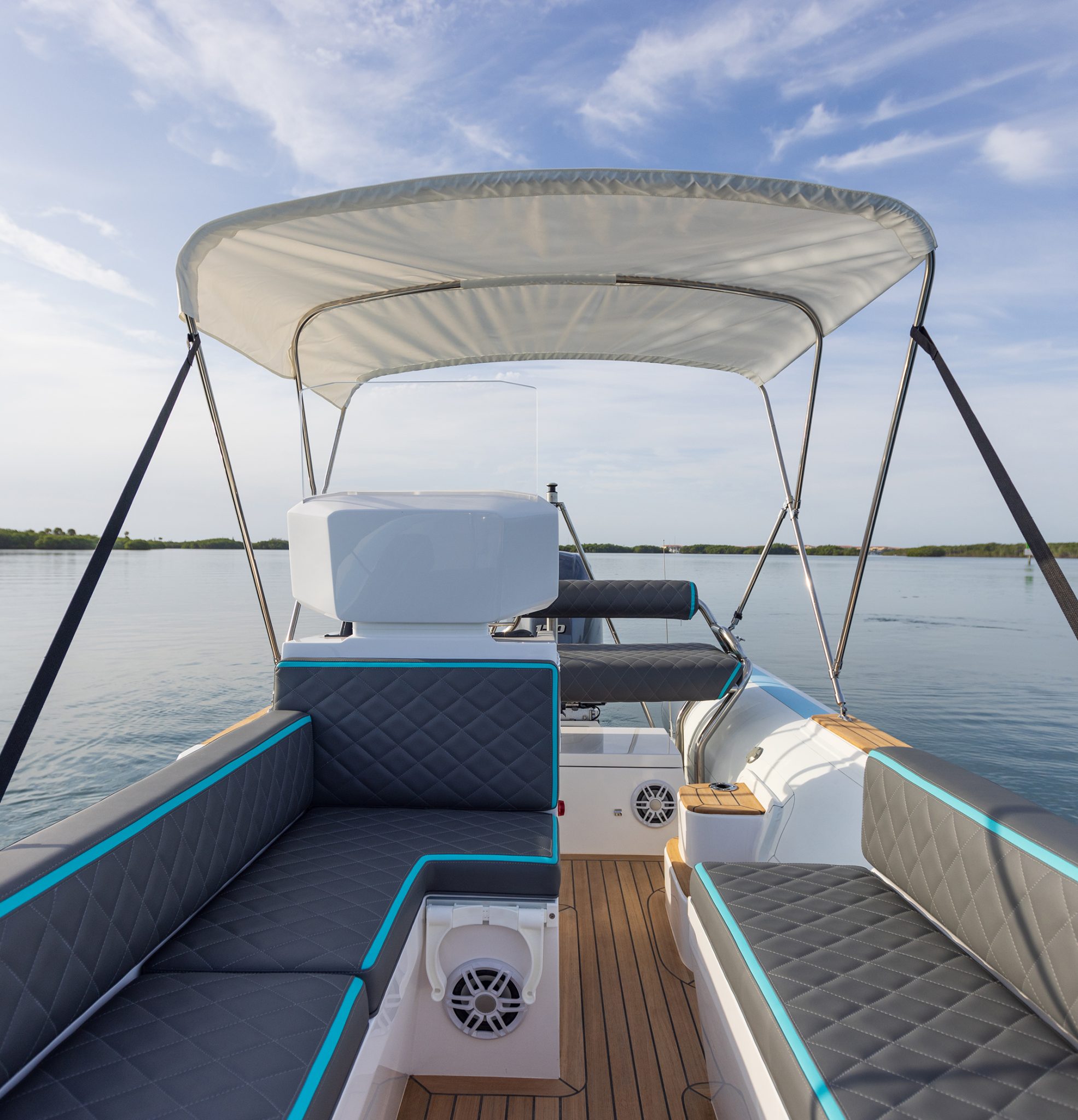 Cat 20 - Novurania of America